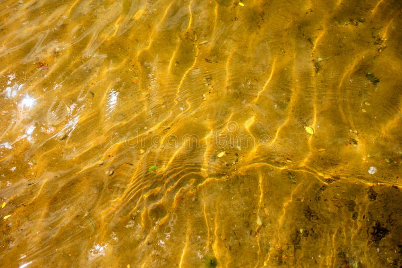 Clear Water on Sand Botttom Stock Image - Image of golden, pure: 207922927