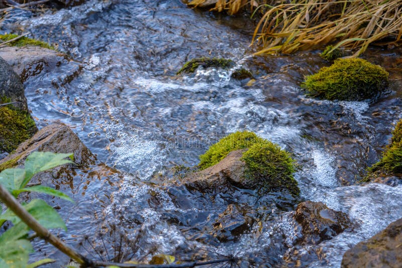 Clear Water of Small Spring Flows Over the Stones with Moss. Stock ...