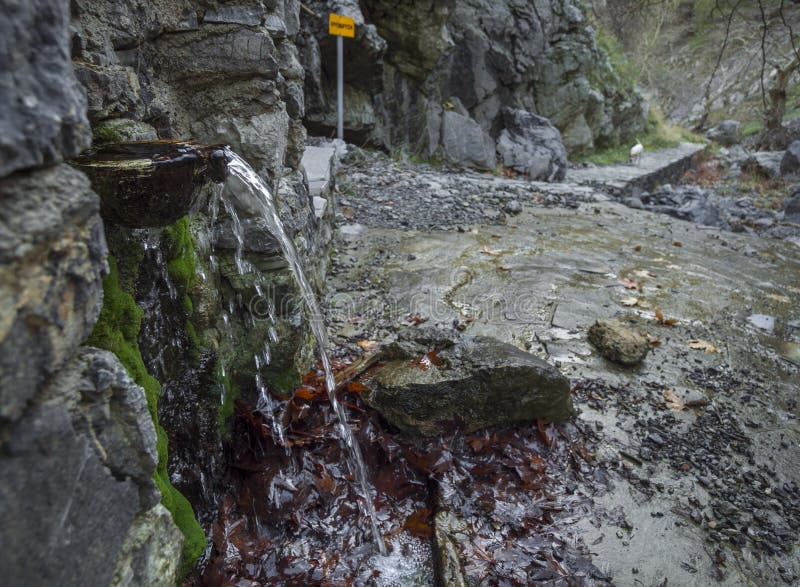 Clear Water Source in the Mountains on the Island of Evia, Greece Stock ...