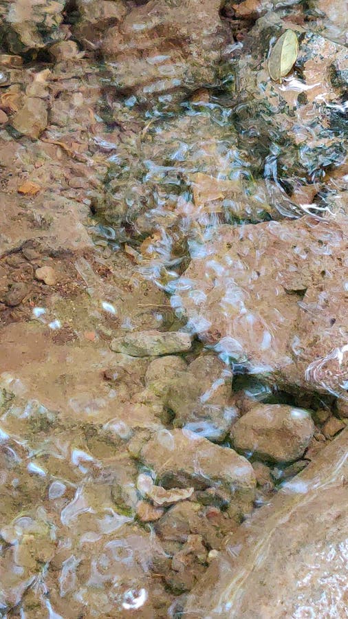 Water stream in a canopy. stock photo. Image of scenery - 168657910