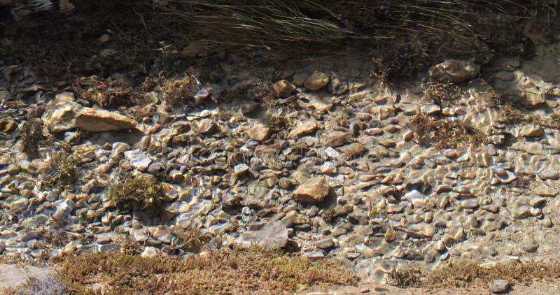Clear Water and River Stones Stock Photo - Image of water, nature: 5831018