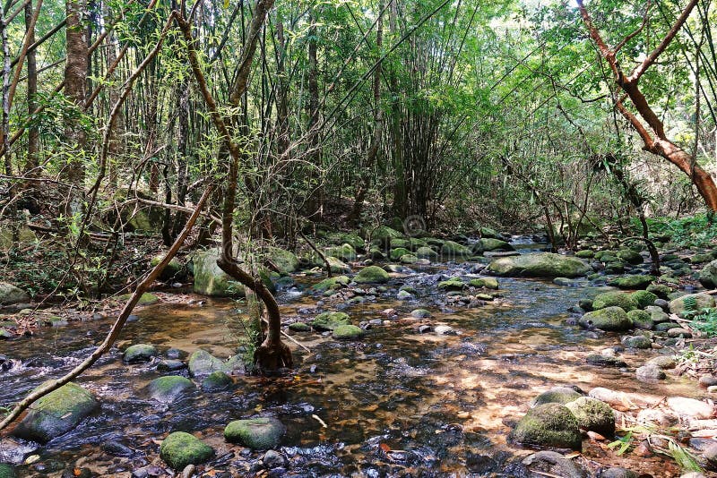 Clear Water on Upstream River, Beauty in Nature Stock Photo - Image of ...