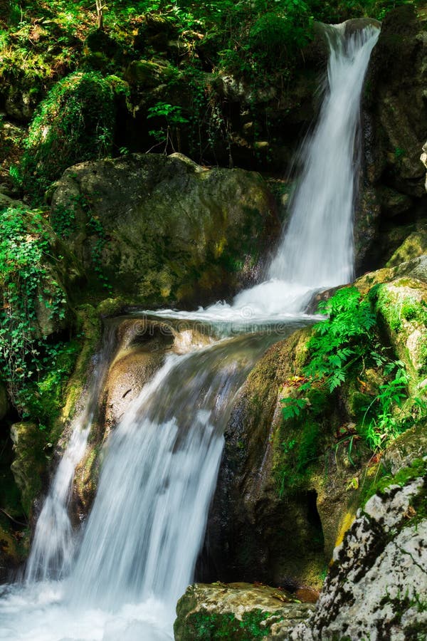 Clear Waterfall in Green Forest, Beautiful Nature Landscape Stock Image ...