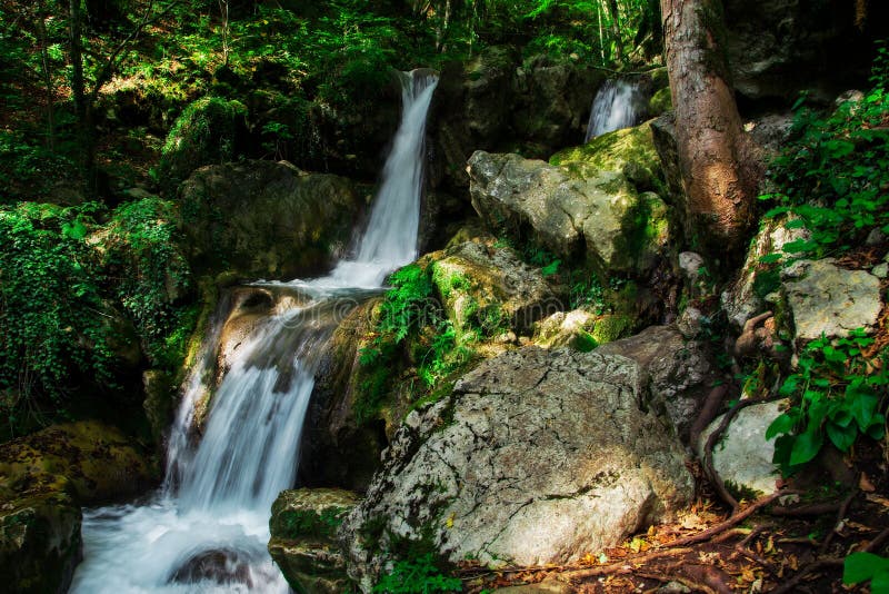 Clear Waterfall in Green Forest, Beautiful Nature Landscape Stock Photo ...