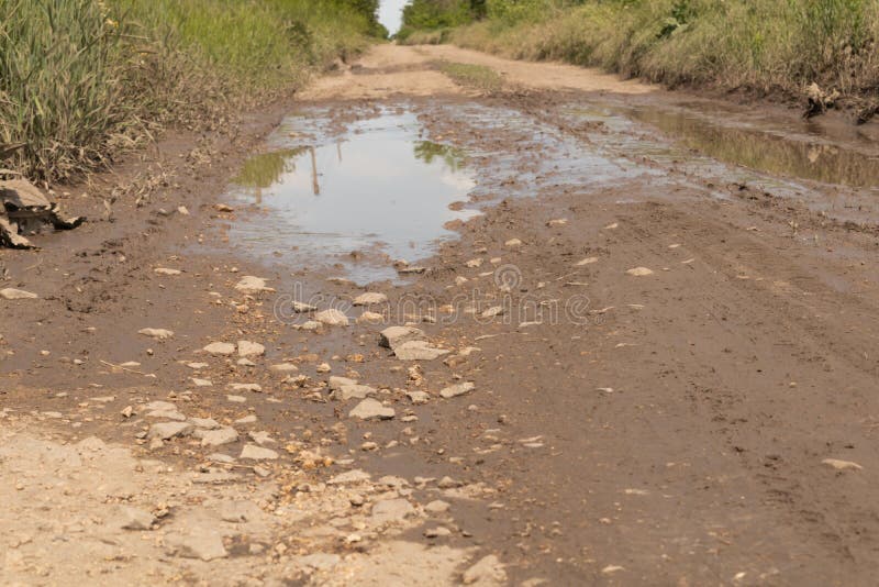 A Clear Wide Field among Which a Clear Blue Sky is Reflected in a ...