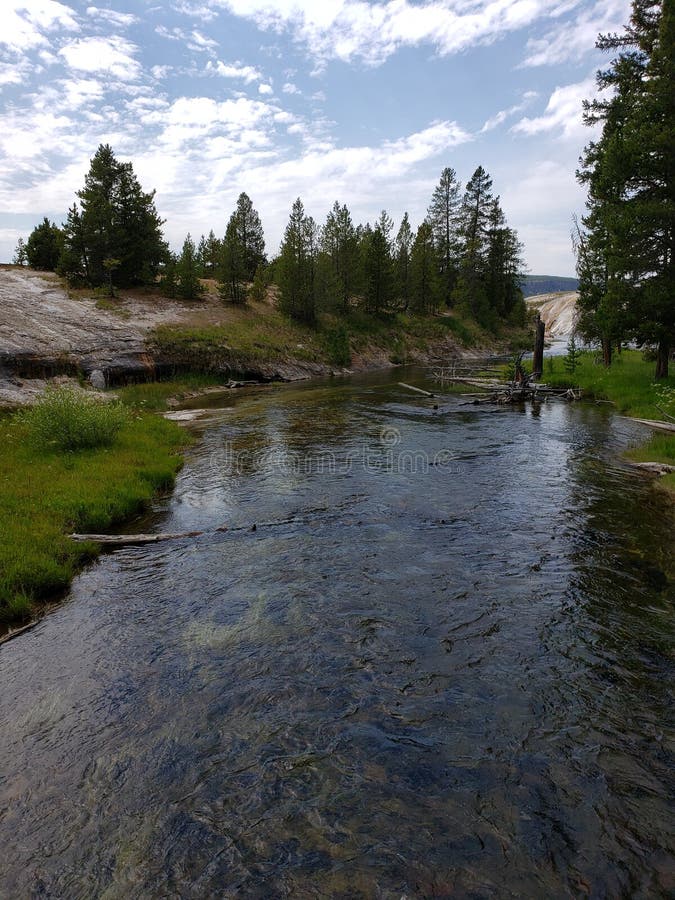 Clear Yellowstone river stock image. Image of yellowstone - 156672989