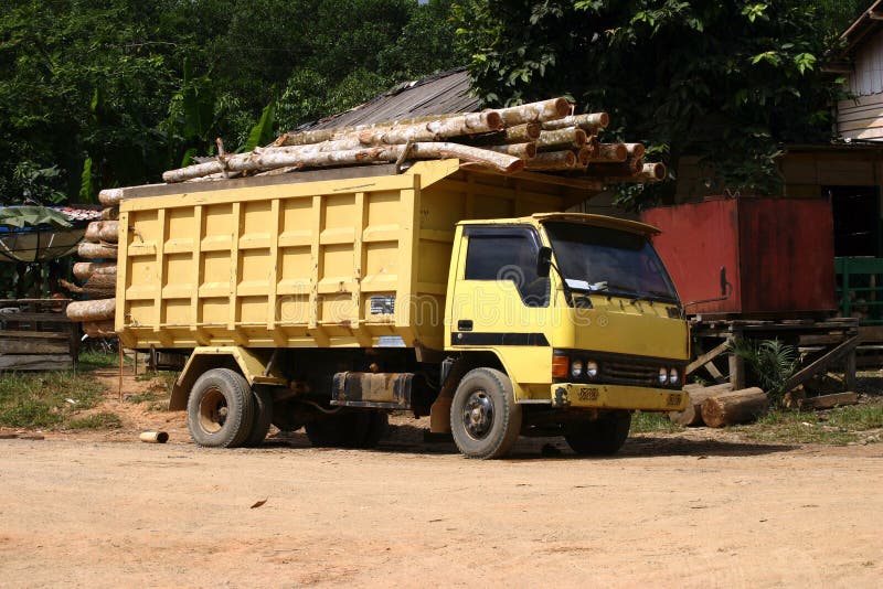 Clearance or Deforestation in the Rainforest Stock Image - Image of ...