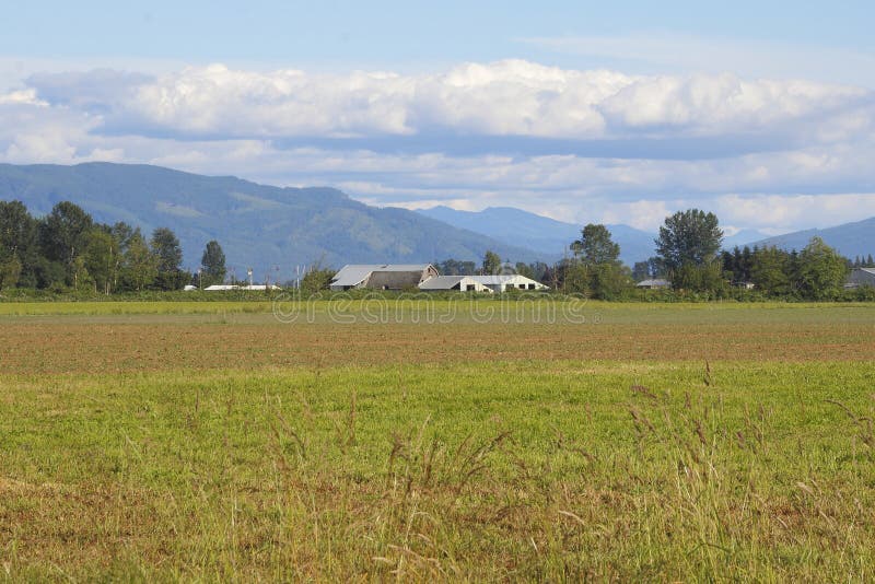 Clearbrook, Washington Rural Region Foto de archivo - Imagen de cubo ...