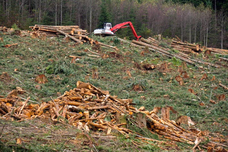 Clearcut Logging in the Pacific Northwest Stock Photo - Image of ...
