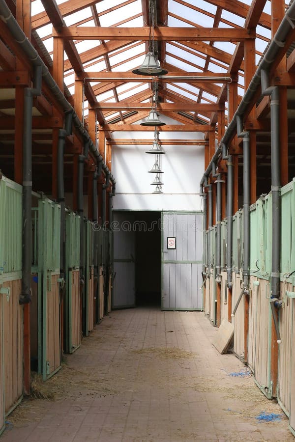 Cleared Empty Stall in the Stable Keeping Sport Horses Stock Photo ...