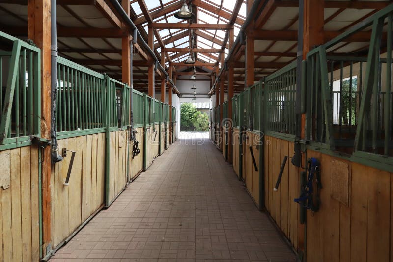 Cleared Empty Stall in the Stable Keeping Sport Horses Stock Image ...