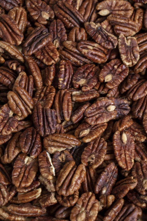Cleared pecan stock photo. Image of nature, brown, kernel - 198360264