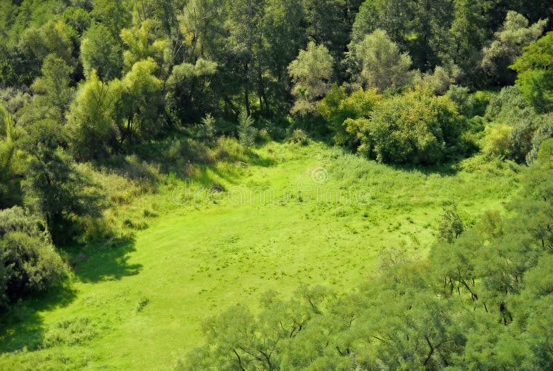 Clearing stock image. Image of park, grass, ecology, place - 6255255