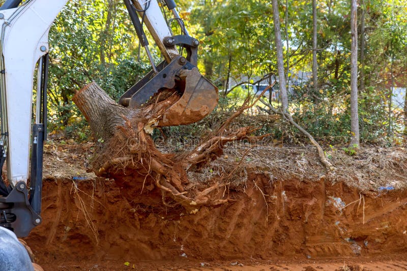 Clearing Land for Housing Complex Using Skid Steer Tractor To Remove a ...