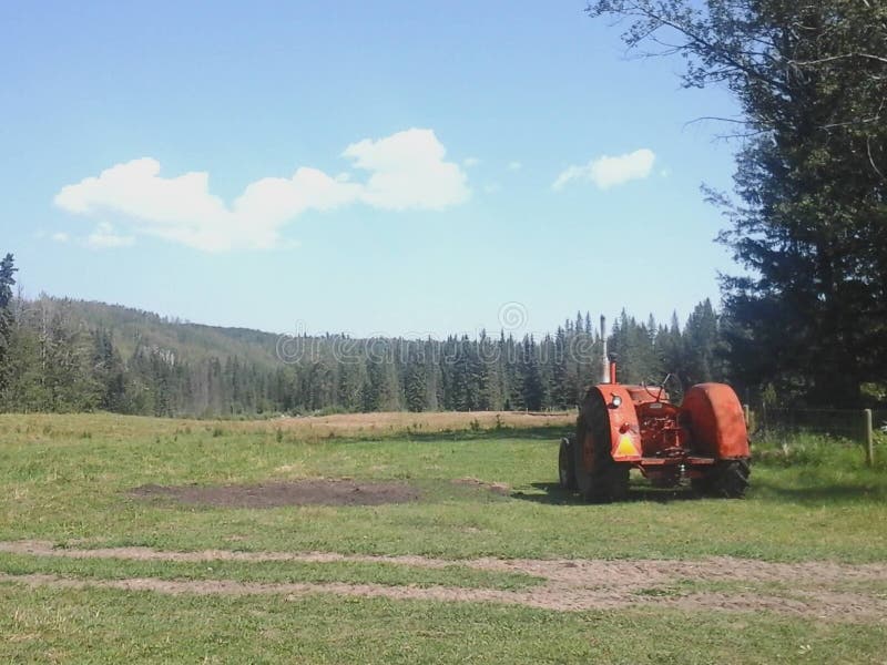 The Clearing stock image. Image of field, case, clearing - 98754993