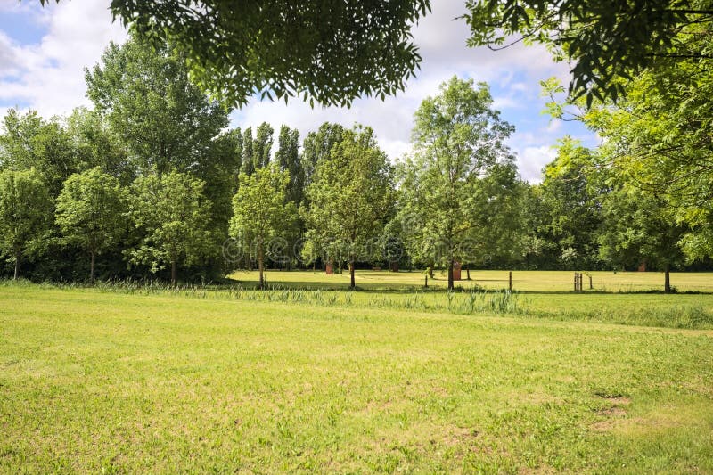 Clearing in a Park Behind a Trench Stock Photo - Image of agriculture ...
