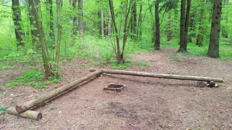 In a Clearing in the Woods, Surrounded by Trees, a Camp is Made for ...