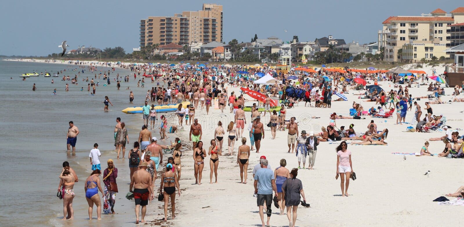 America Cup 2019 editorial stock photo. Image of sport - 151777788