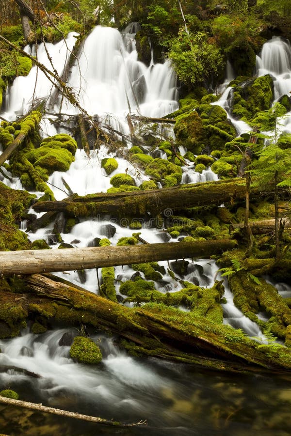 Clearwater Falls stock image. Image of clearwater, park - 22213315