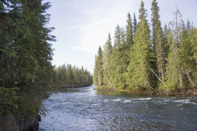 Clearwater River stock image. Image of gray, british, meander - 6906341