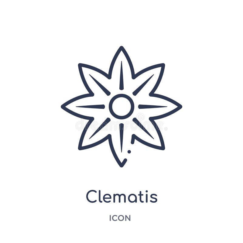 Clematis Icon. Trendy Flat Vector Clematis Icon on White Background ...