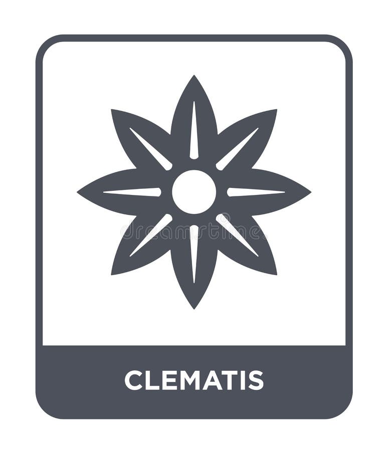 Clematis Icon. Trendy Flat Vector Clematis Icon on White Background ...