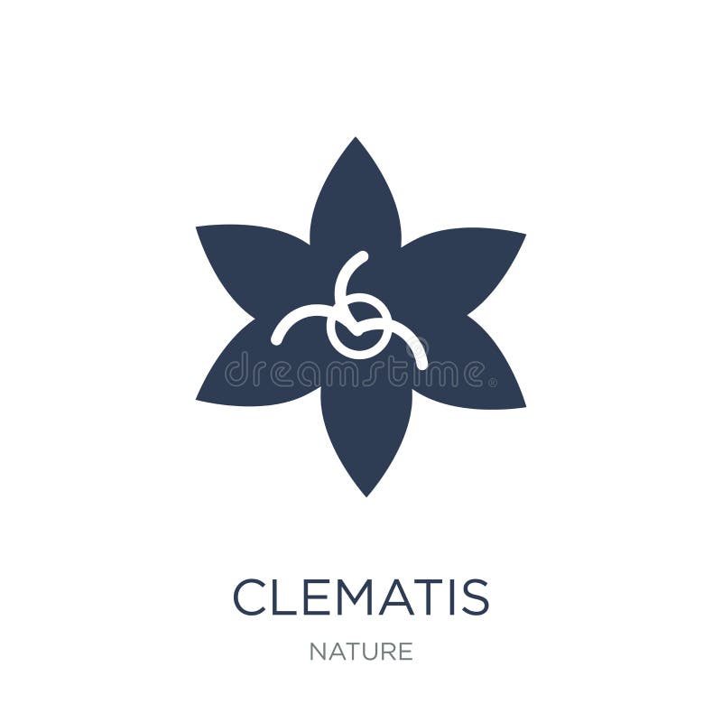 Clematis Icon. Trendy Flat Vector Clematis Icon on White Background ...