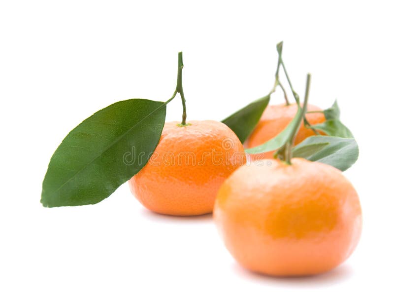 Clementine stock image. Image of winter, appetizing, small - 12929119