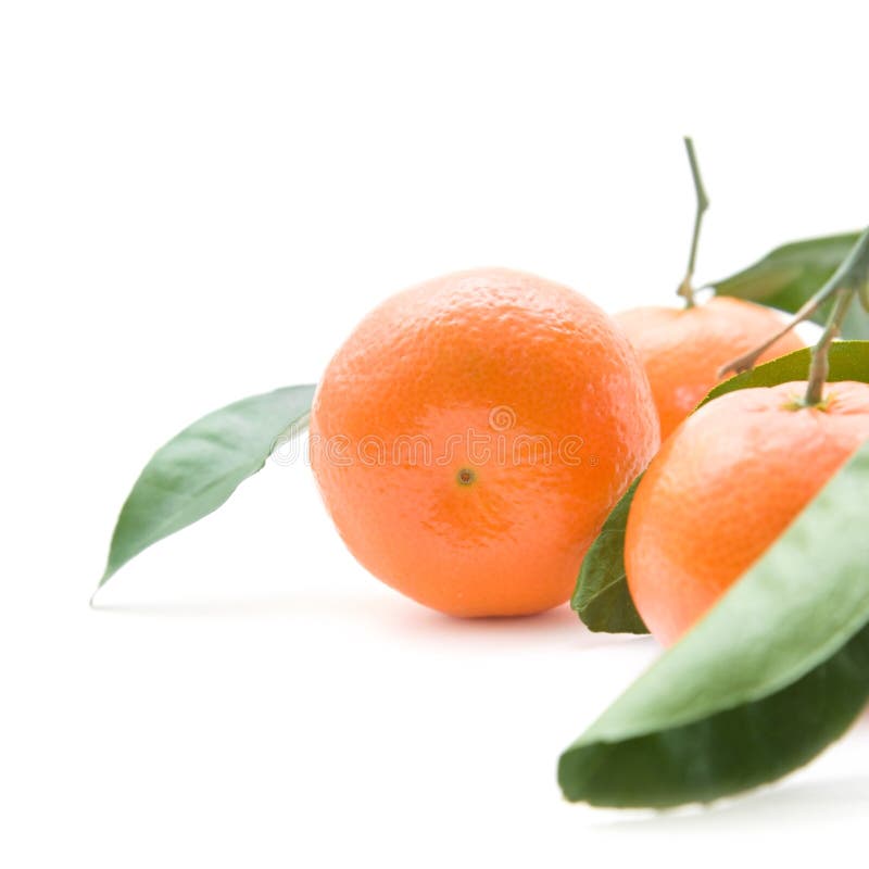 Clementine stock image. Image of citrus, orange, five - 12929185