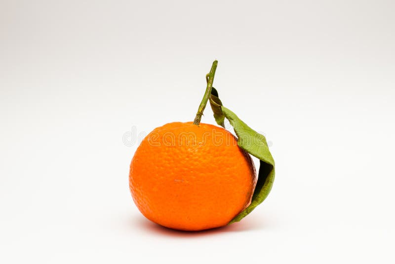 Clementine stock image. Image of breakfast, leaf, natural - 64508243