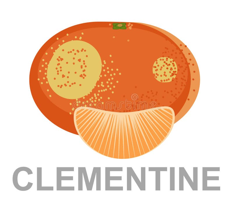 Clementine icon entirely stock vector. Illustration of colorful - 130929764