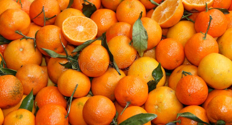 Clementine Oranges. stock photo. Image of farm, display - 22649652