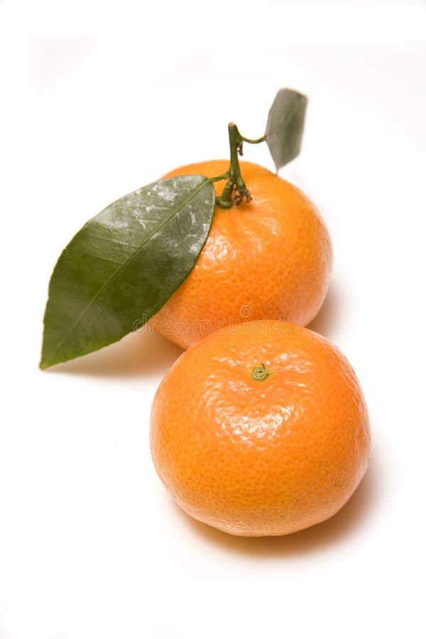 Clementine with leaves stock photo. Image of fresh, fruit - 3543654