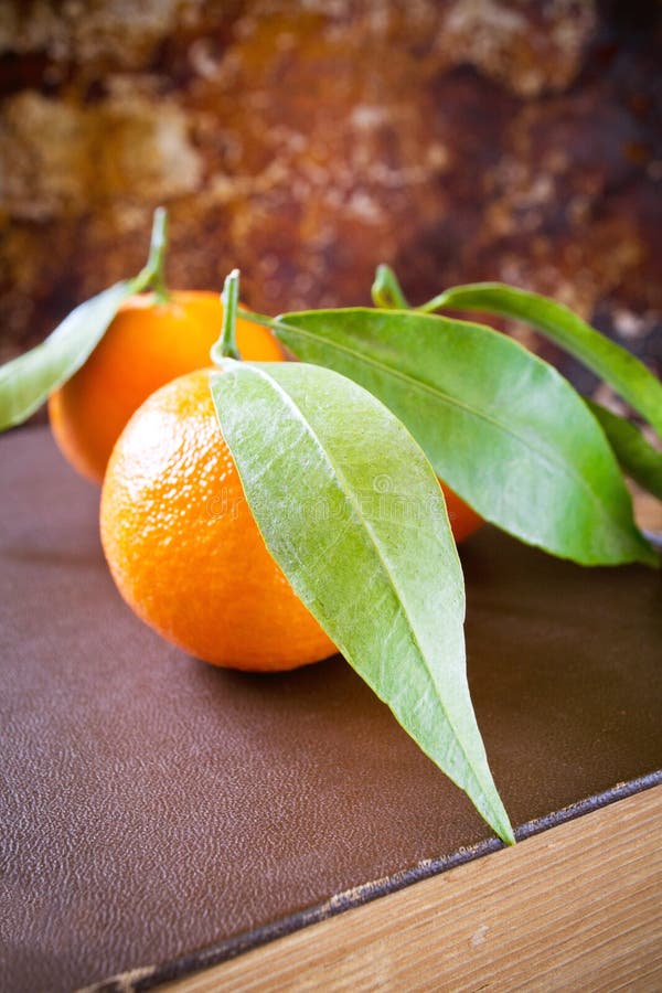 Clementine oranges stock photo. Image of leaves, oranges - 64339860