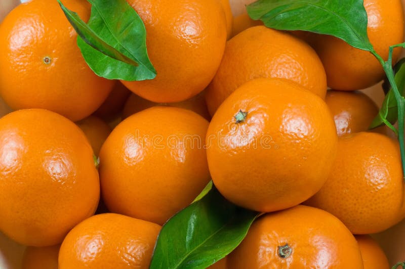 Clementines stock photo. Image of juice, vitamin, leaf - 18255458
