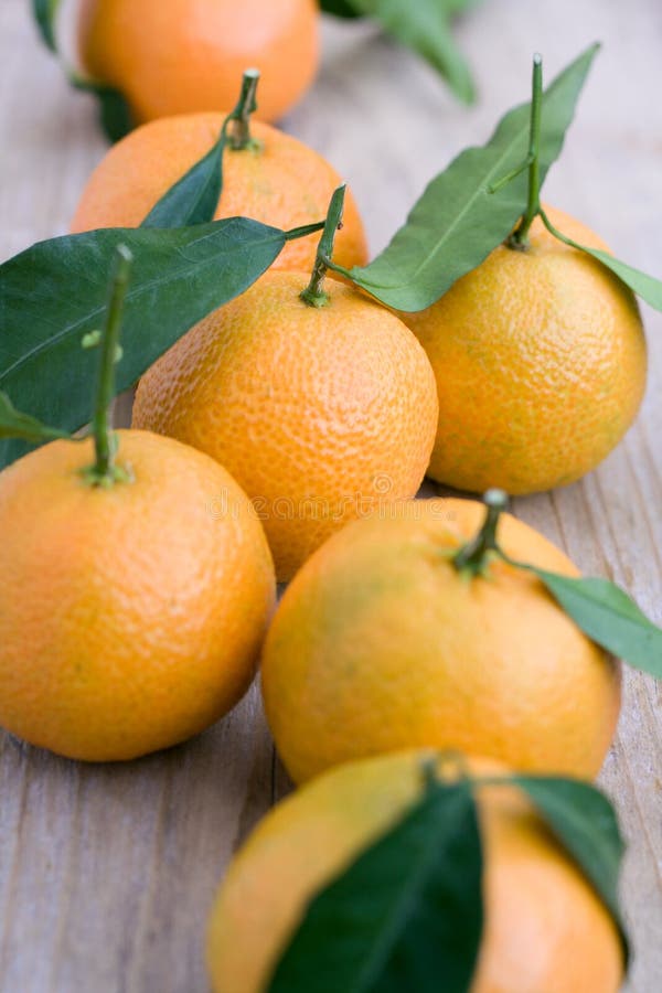 Clementines stock photo. Image of shot, foreground, freshness - 27257662
