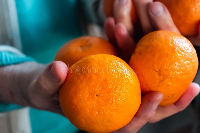 Clementines in a Kitchen, Citrus Fruit Containing Beta Carotene and ...
