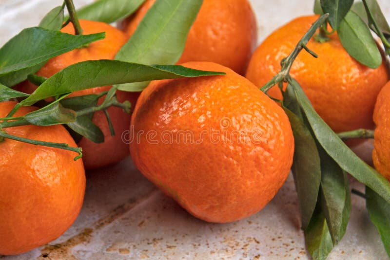 Clementines with Leaves in Close-up on a Table Stock Photo - Image of ...