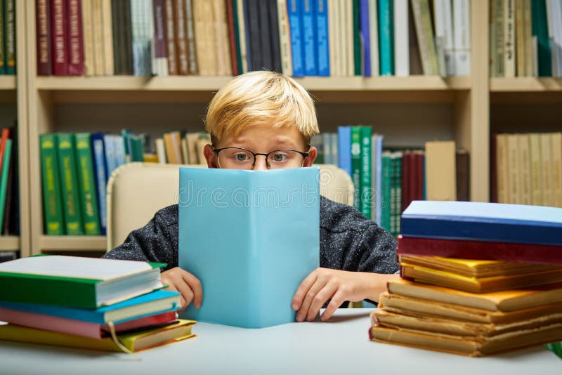 Clever Caucasian Kid Boy while Reading Book in Library Stock Photo ...