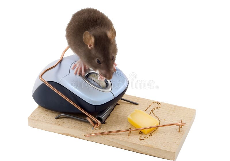 Clever Mouse Picture. Image: 4587647