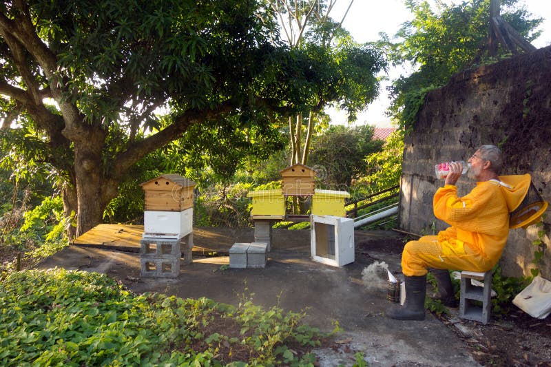 A Newly-built Double Bee Hive with a Flow Super As Seen at an Apiary in ...