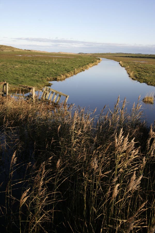 Cley Marshes Nature Reserve, Stock Photo - Image of shrubland ... Cley Marshes Nature Reserve, Stock Photo - Image of shrubland ...