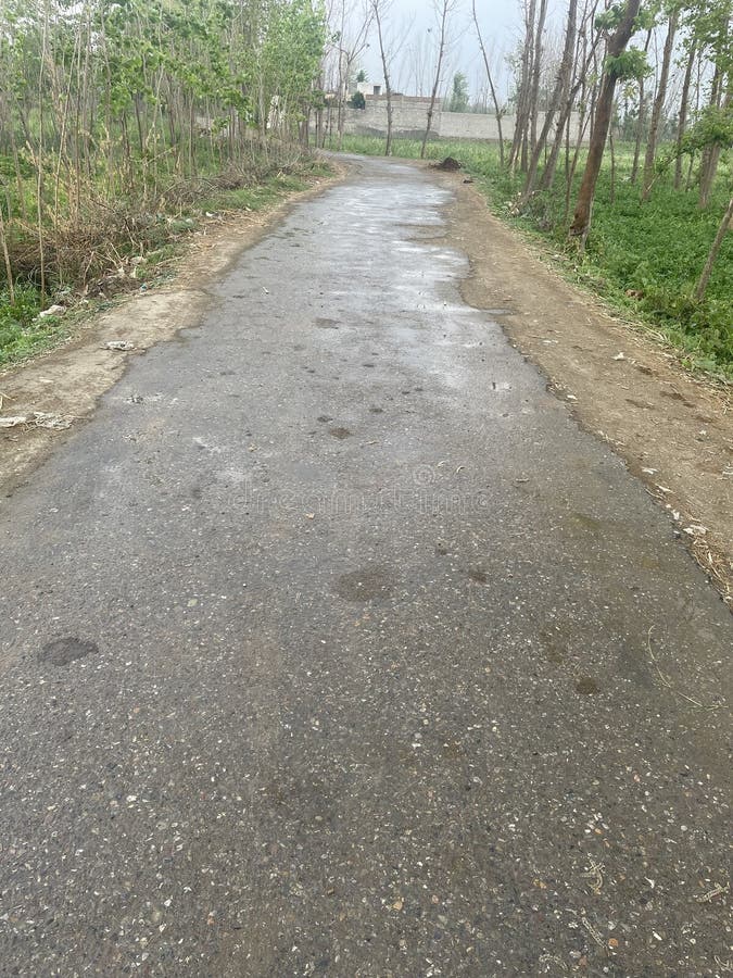 A Click of Road Side in the Rain Stock Image - Image of travel ...