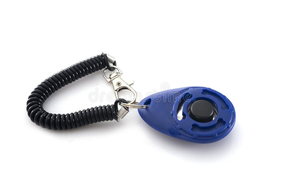 Clicker in studio stock photo. Image of clicker, blue - 357257068