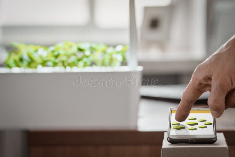 Clicking Smart Remote of Growth Stock Image - Image of nurture ...
