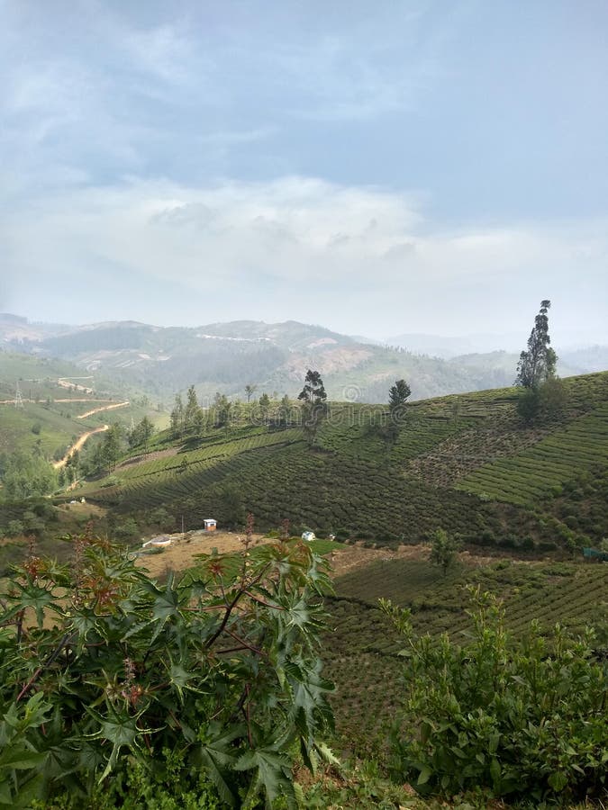 Clicks stock image. Image of hills, nature, trees, clouds - 141582911