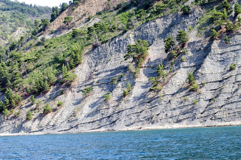 Clif with Layers of Rock and Thickets of Pine. Stock Image - Image of ...