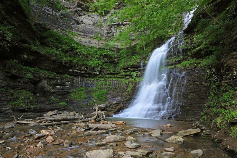 The Cliff with Cathedral Falls Stock Photo - Image of forest, stream ...