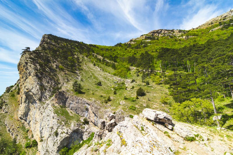 Cliff Covered with Forest on a Background of Amazing Clouds Stock Image ...