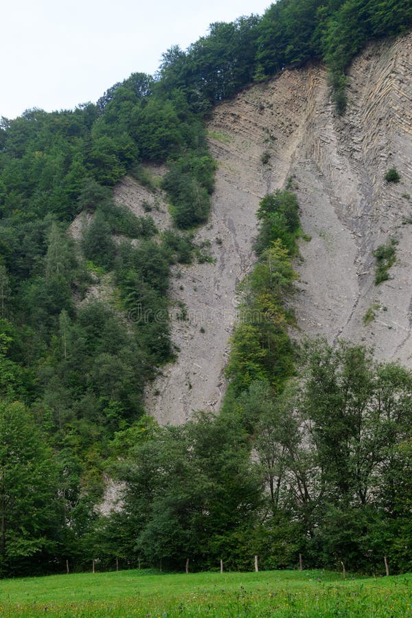 Cliff covered with forest stock photo. Image of high - 111123104